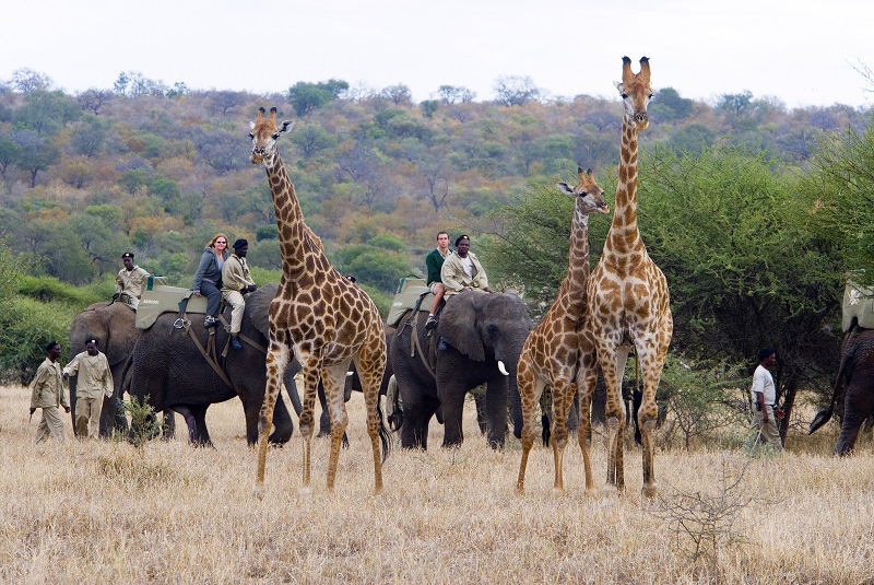 Camp Jabulani - Kruger National Park Accommodation - Smiles Bookings