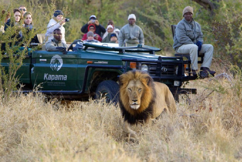 Kapama Buffalo Camp - Kruger National Park Accommodation - Smiles Bookings